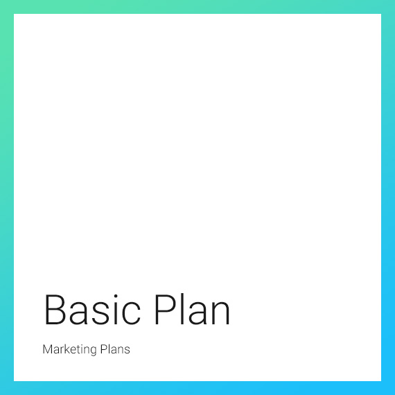 Basic Plan – PMM Maths Consultancy